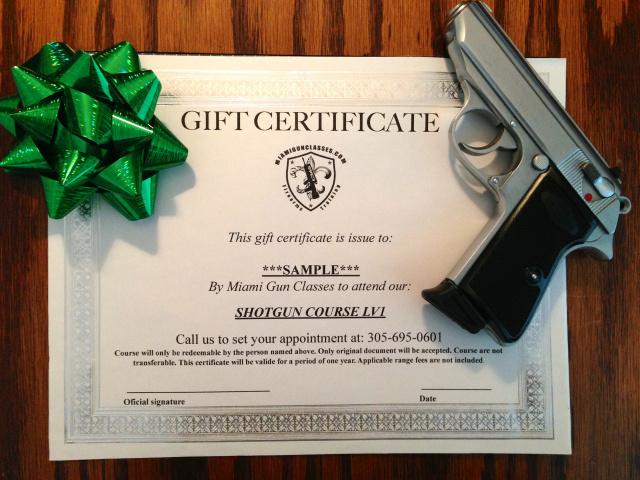 Miami Gun Classes, concealed weapon class, firearm training, florida concealed weapon certification