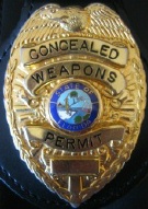 Miami Gun Classes, concealed weapon class, firearms training, florida ...